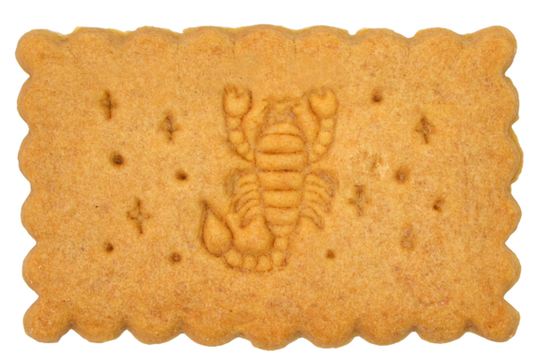 Biscuits personnalisés signe astrologique SCORPION – Shanty Biscuits